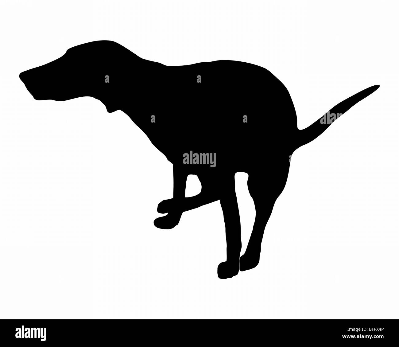 Dog is having a dump somewhere outside Stock Photo - Alamy