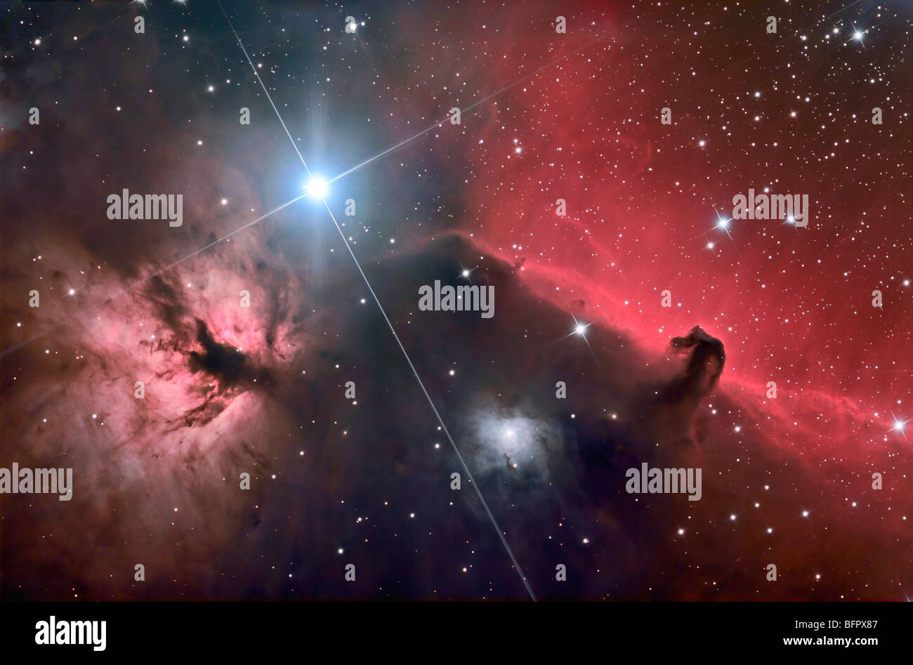 The Horsehead Nebula Stock Photo - Alamy
