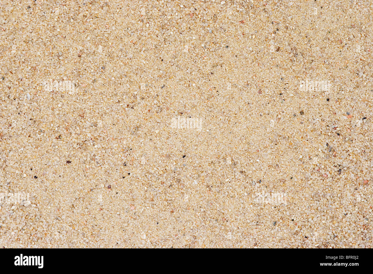 Detail of the sand Stock Photo - Alamy
