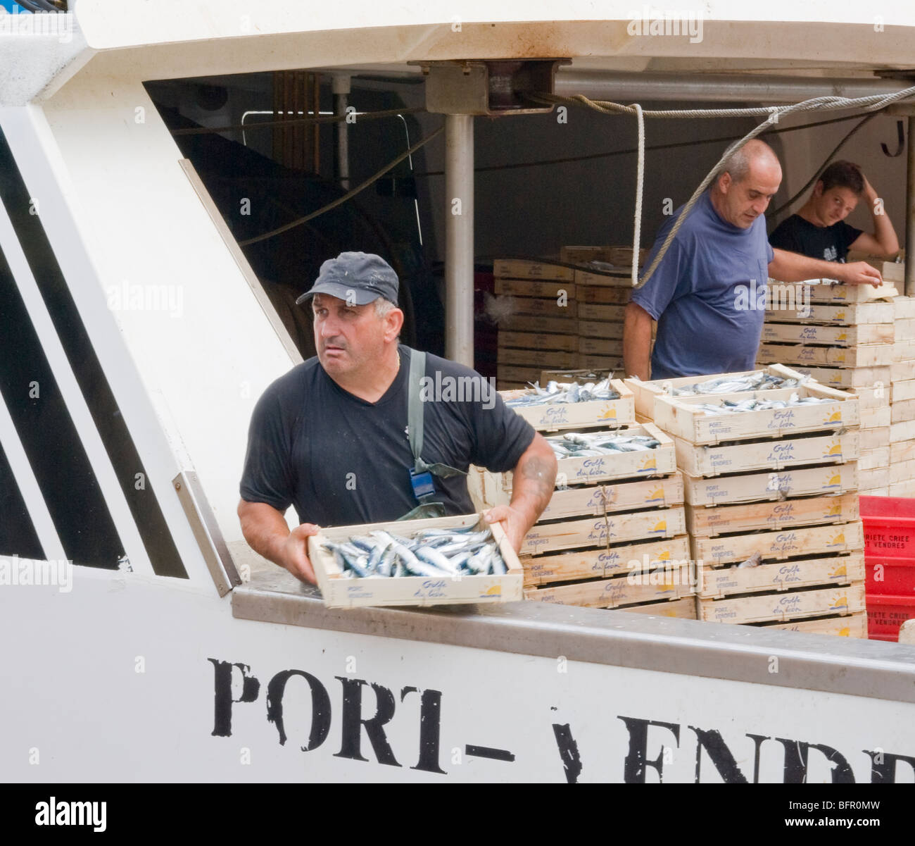 Unloading fish at Port Vendres Stock Photo - Alamy