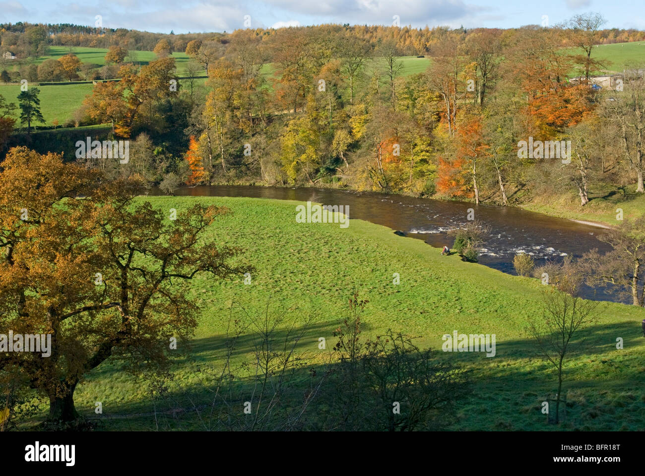 The river Wharfe at Bolton Abbey Stock Photo - Alamy