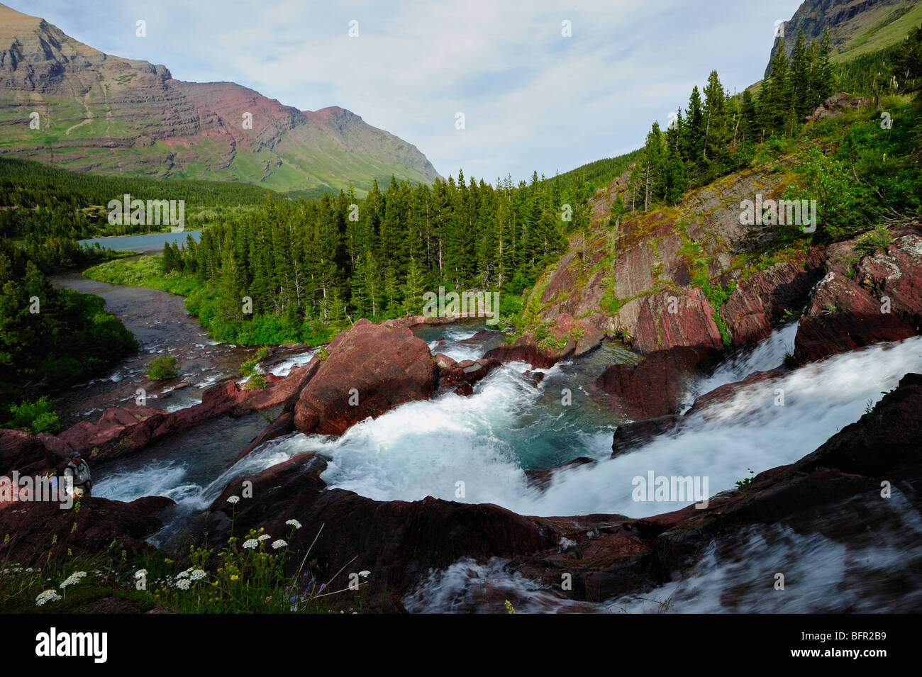 Rapids in a stream in glacier national park in Montana USA Stock Photo ...