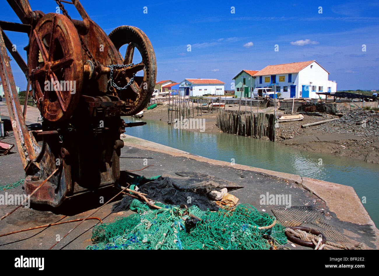Marennes is famous for its green oysters which are produced from beds ...