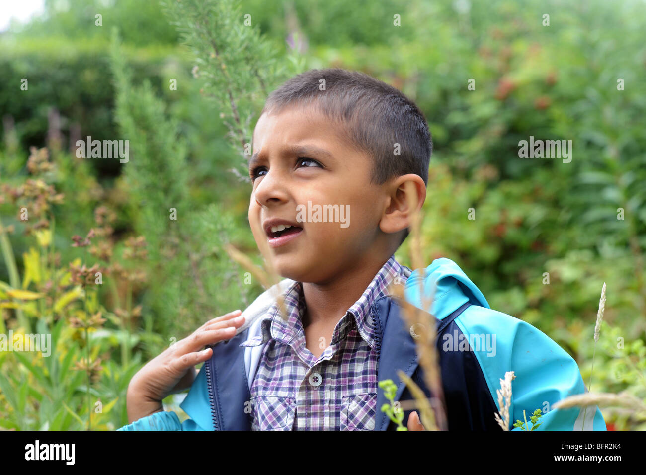 Children visit a local allotment near to the school to learn about ...