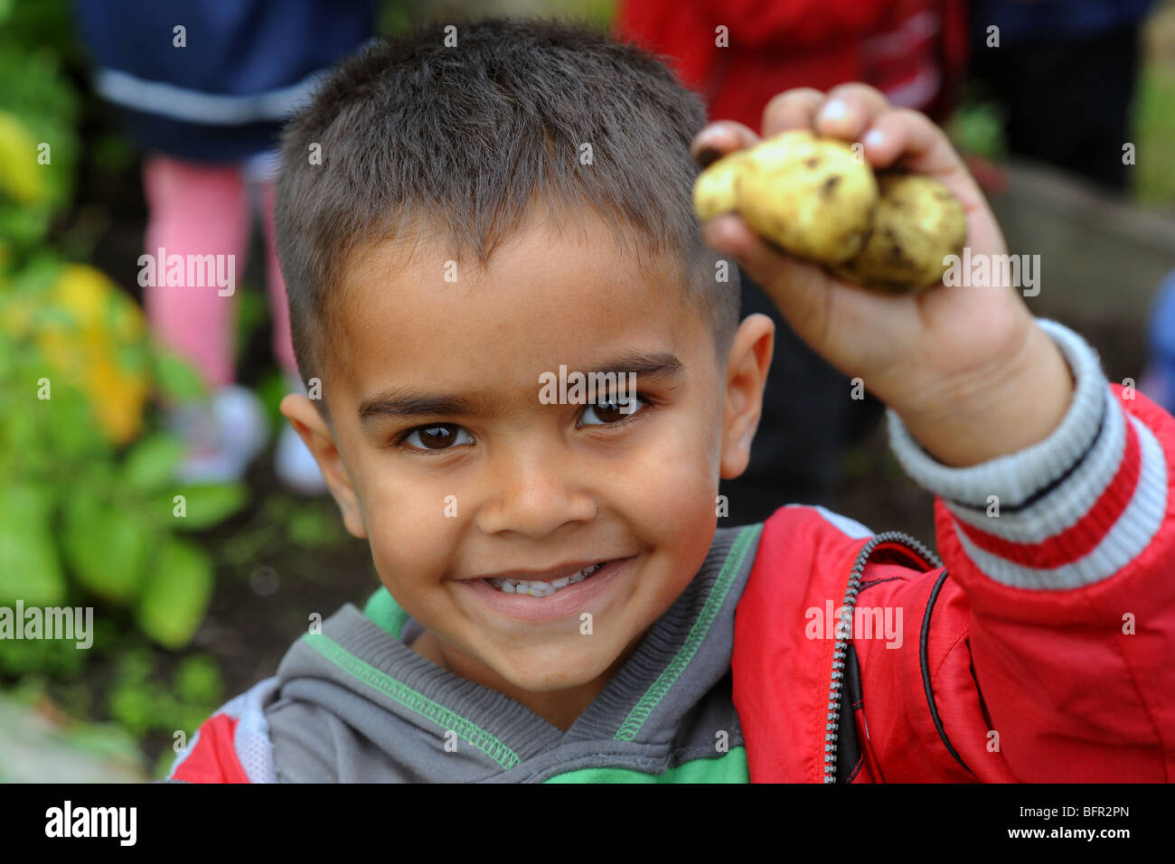 Yorkshire healthy food allotment hi-res stock photography and images ...