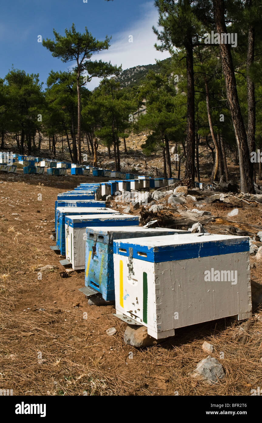 dh FARMING GREECE CRETE Wooden box beehives Cretan mountain countryside ...