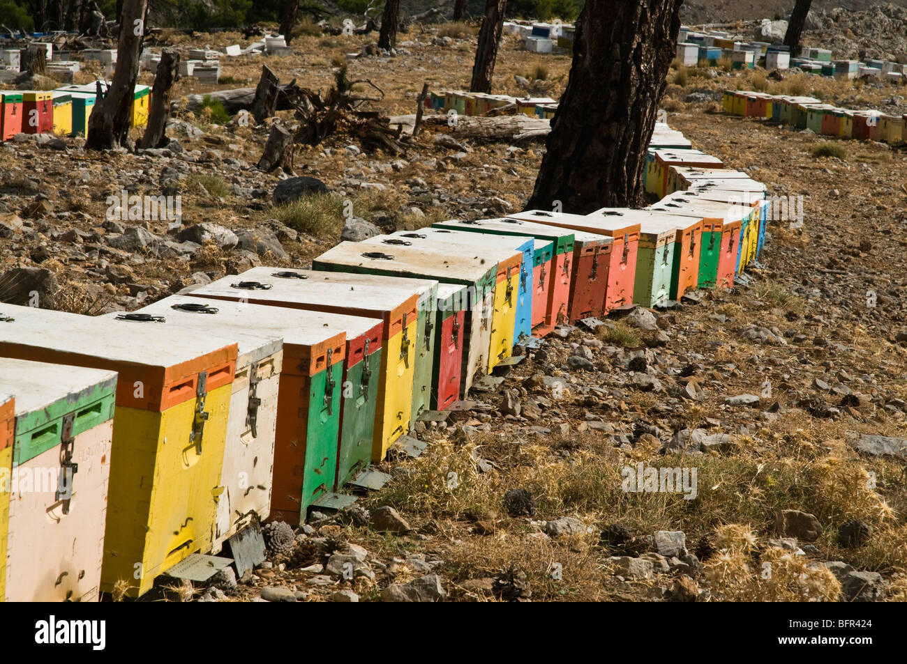 dh FARMING GREECE CRETE Colourful wooden box beehives Cretan mountain ...