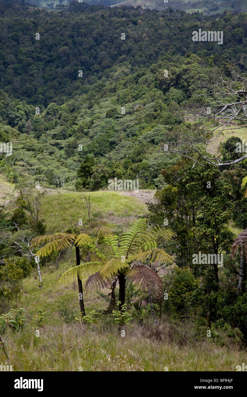 Tablelands hi-res stock photography and images - Alamy