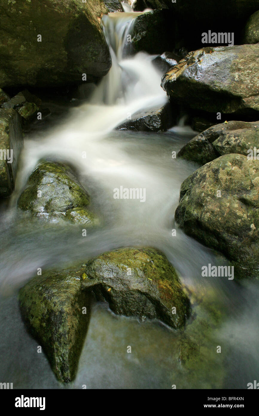 A river rushing over rocks in Hogsback Stock Photo - Alamy