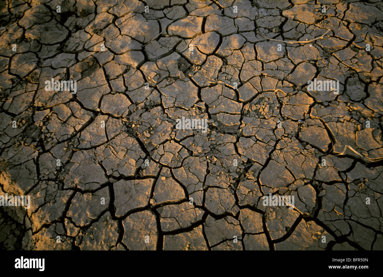 Close up of cracked clay surface Stock Photo - Alamy
