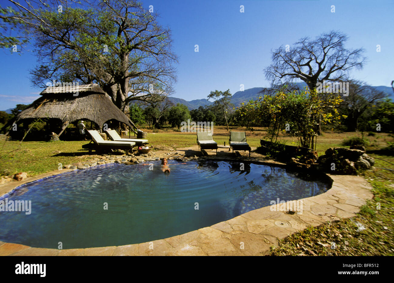 Guest relaxing in the pool at a Lodge in the lower Zambezi Stock Photo ...