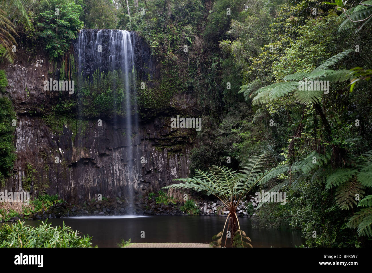 Millaa millaa hi-res stock photography and images - Alamy