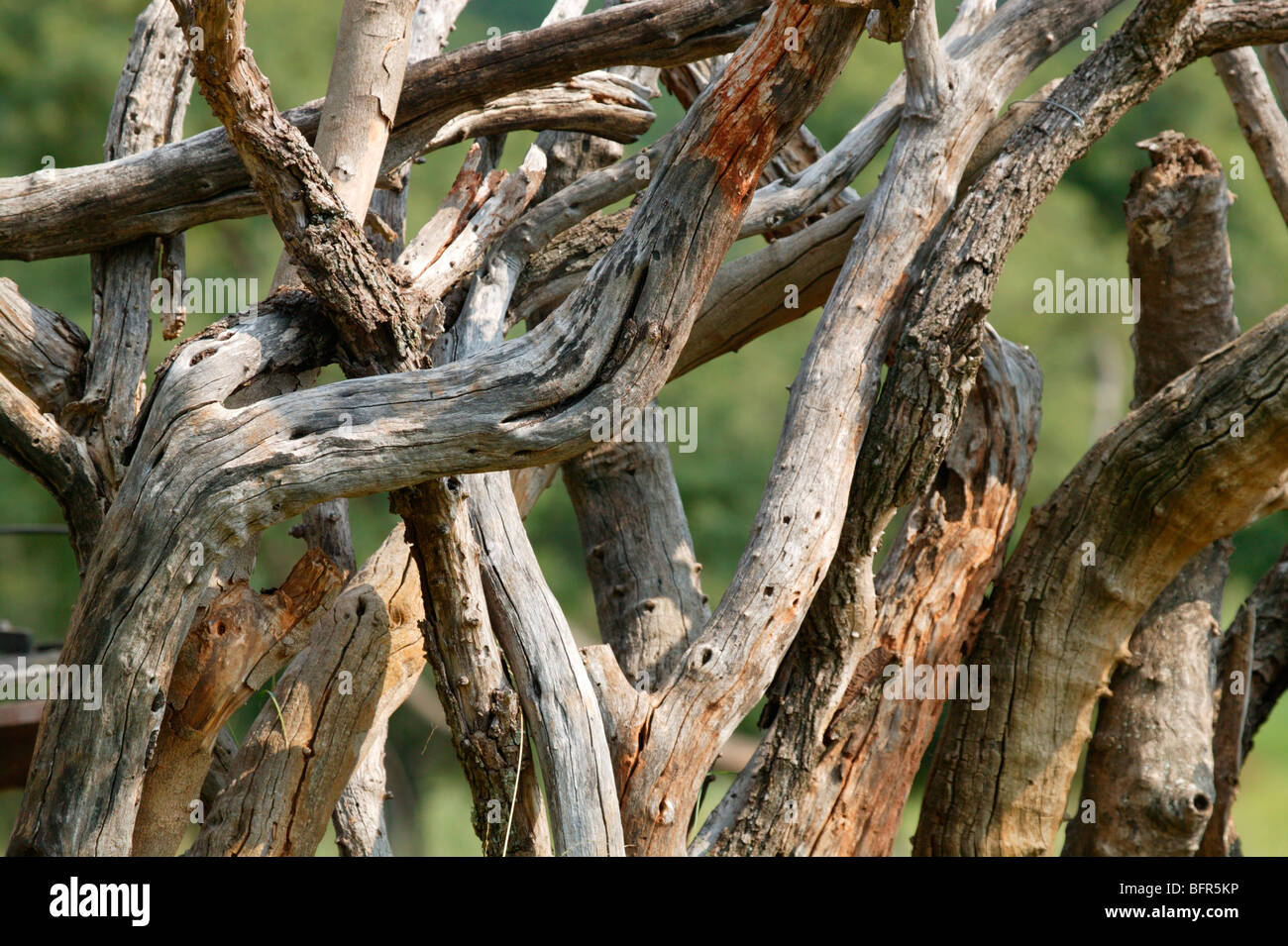 African boma hi-res stock photography and images - Alamy