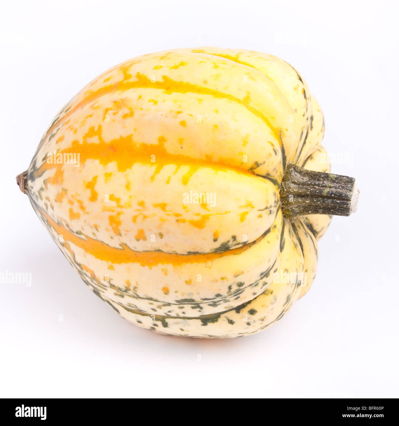 Golden harlequin hi-res stock photography and images - Alamy