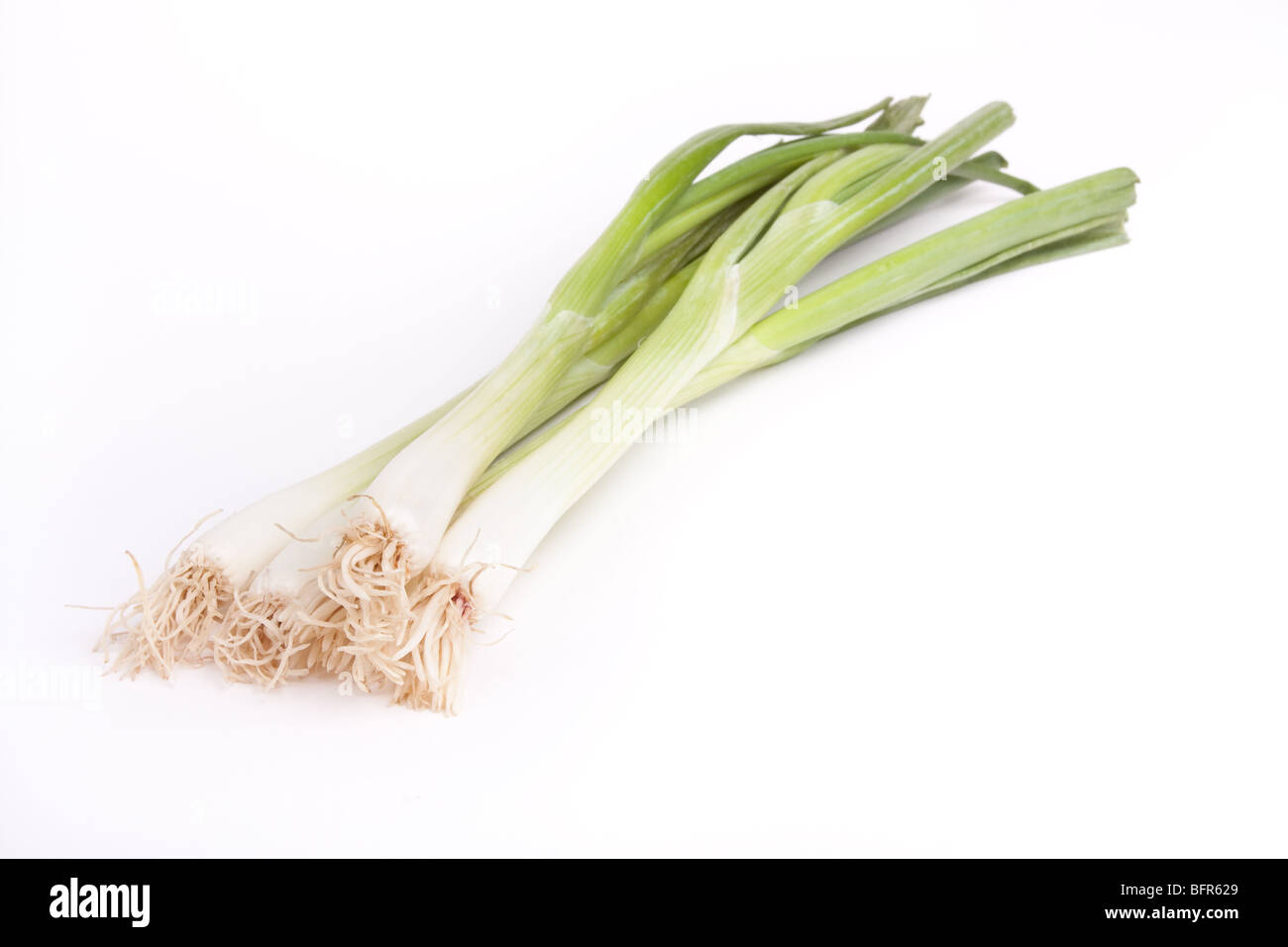 Group of spring onions hi-res stock photography and images - Alamy