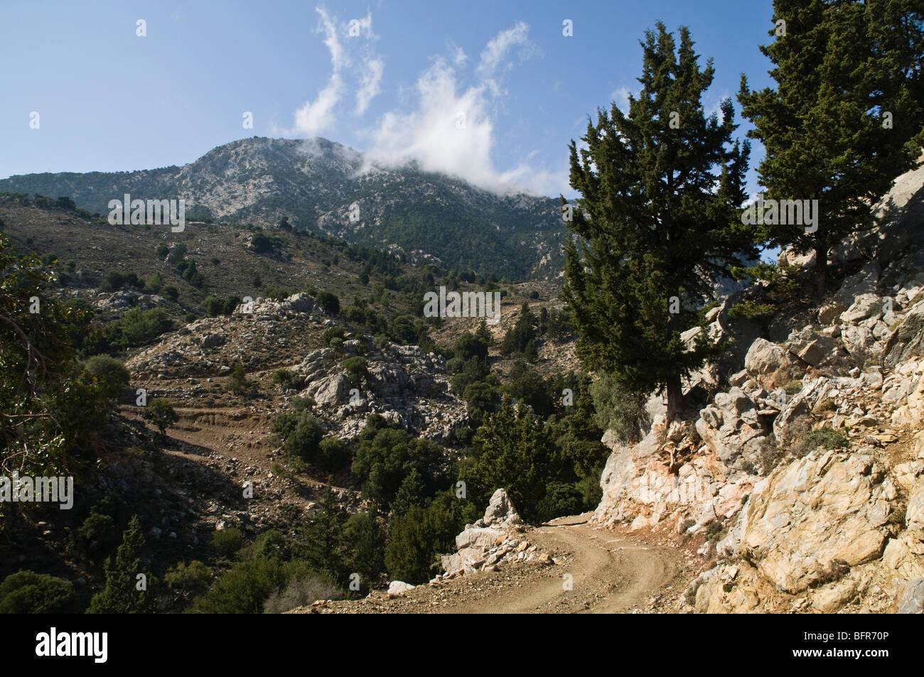 Trees scenery hi-res stock photography and images - Alamy
