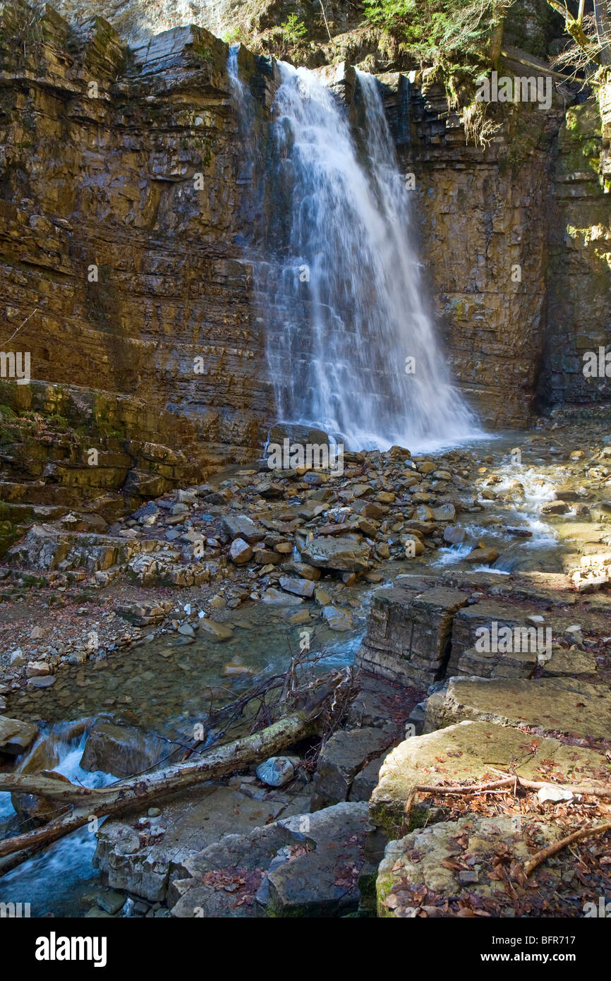 Manjava hi-res stock photography and images - Alamy