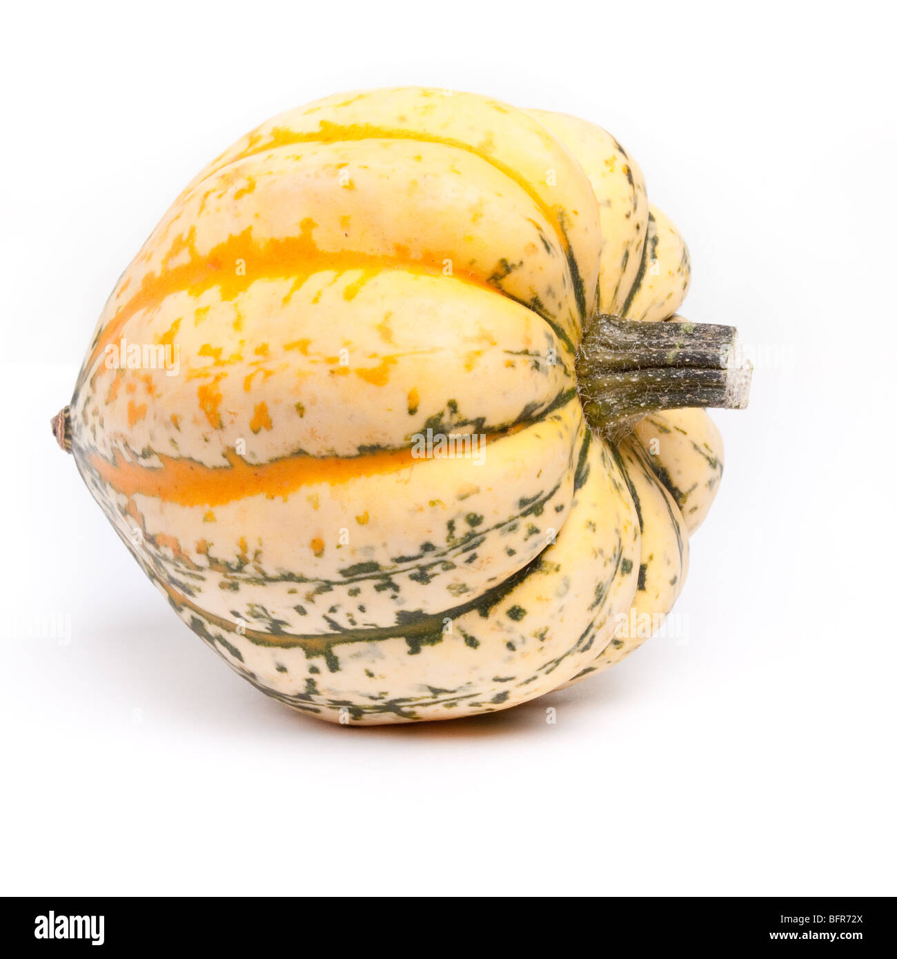 Jazzy Harlequin Squash isolated against white background Stock Photo ...