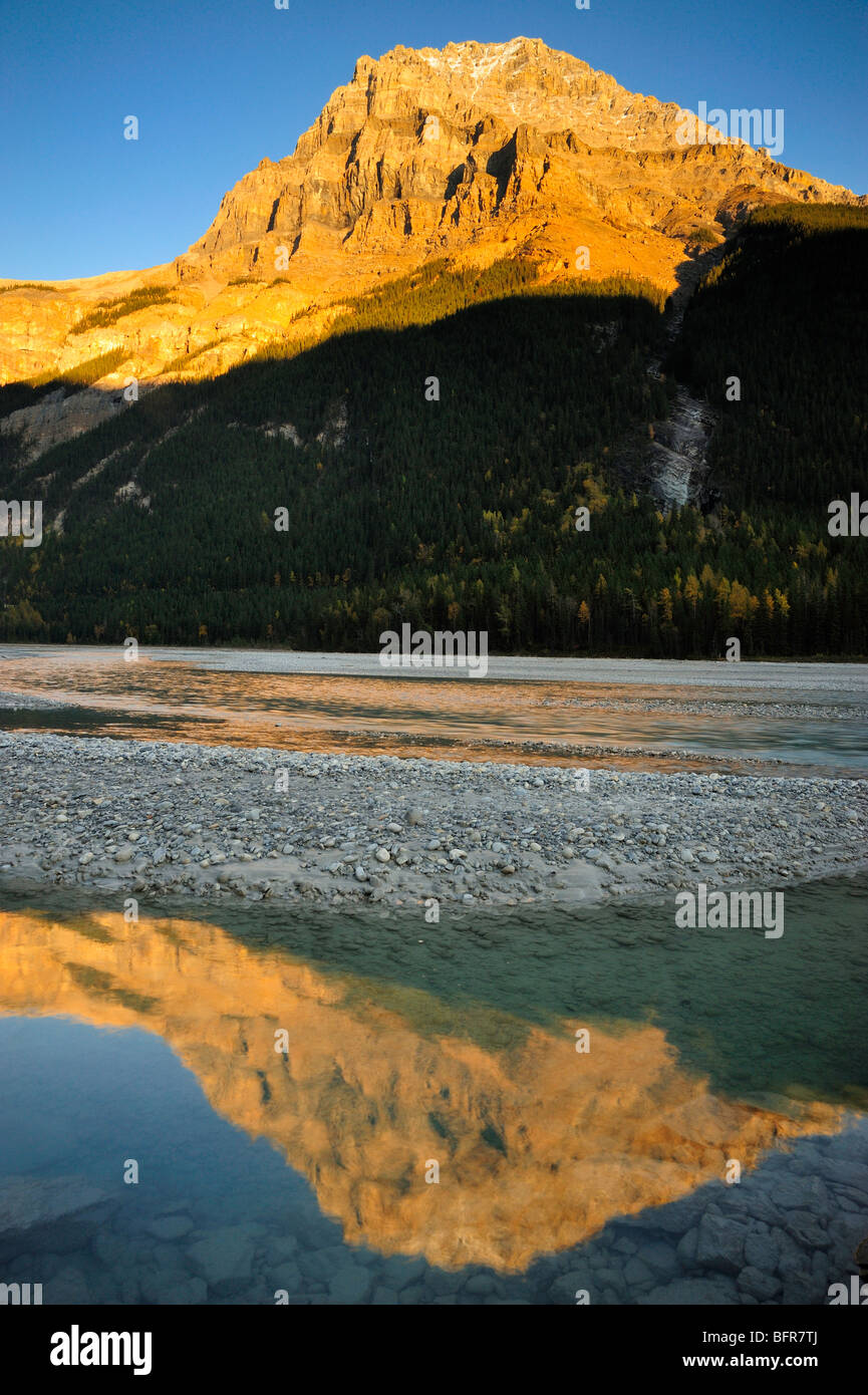 Mt. Stephen reflected in the Kicking Horse River, Yoho National Park ...