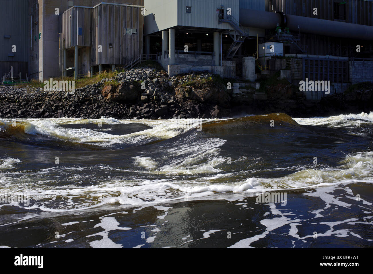 Irving pulp and paper hi-res stock photography and images - Alamy