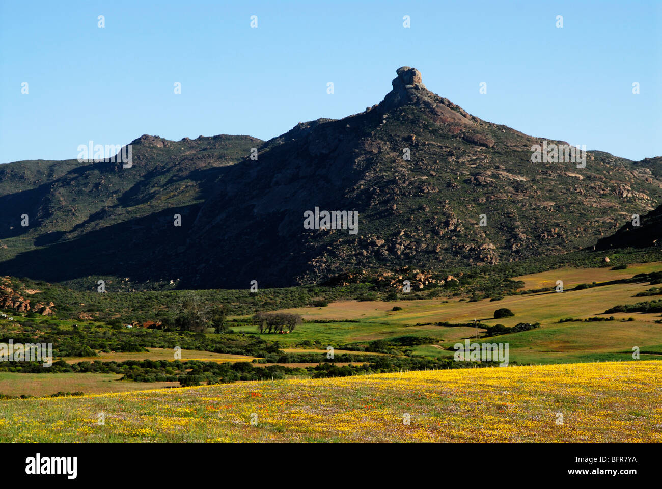 Kamieskroon hi-res stock photography and images - Alamy