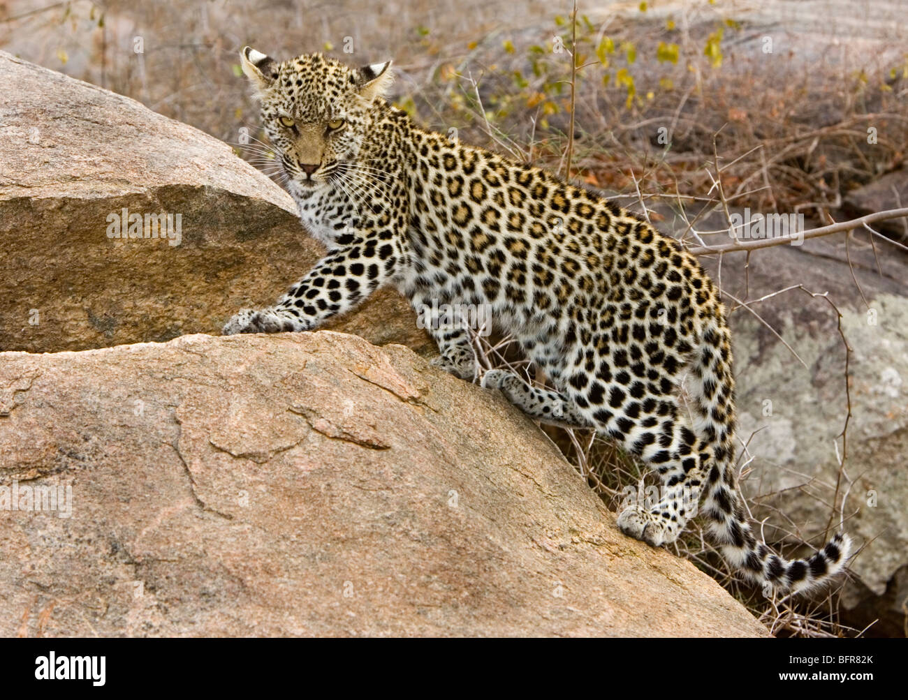 Rock climbing spots hi-res stock photography and images - Alamy