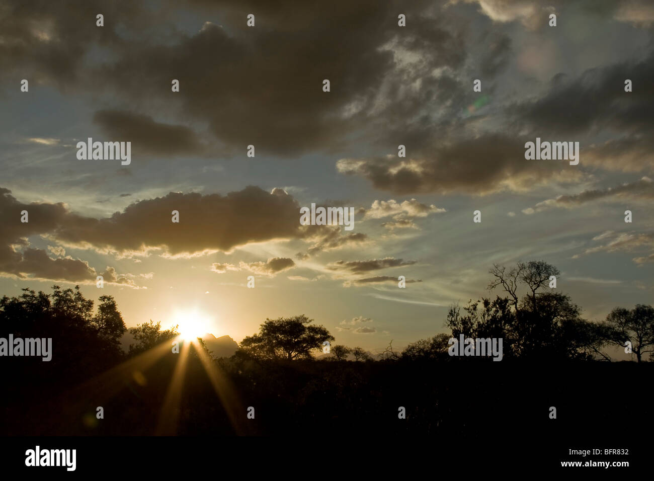 Bushveld sunset africa hi-res stock photography and images - Alamy