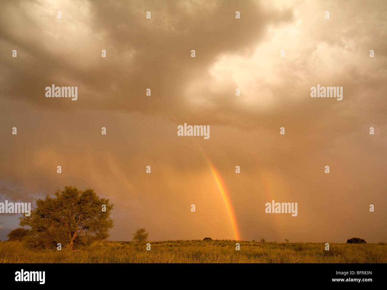 Rainbow at sunset Stock Photo - Alamy