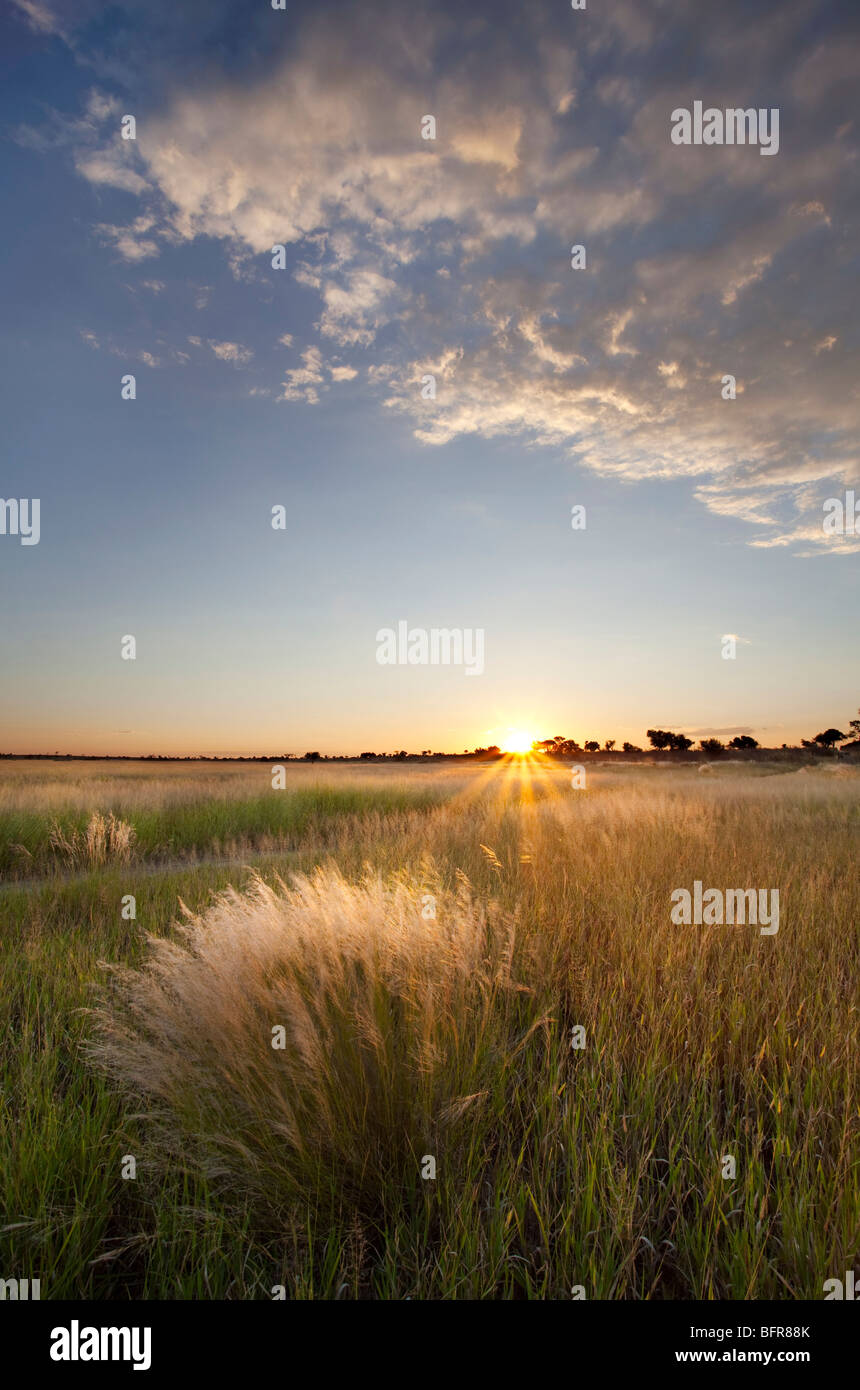 Waving landscape hi-res stock photography and images - Alamy
