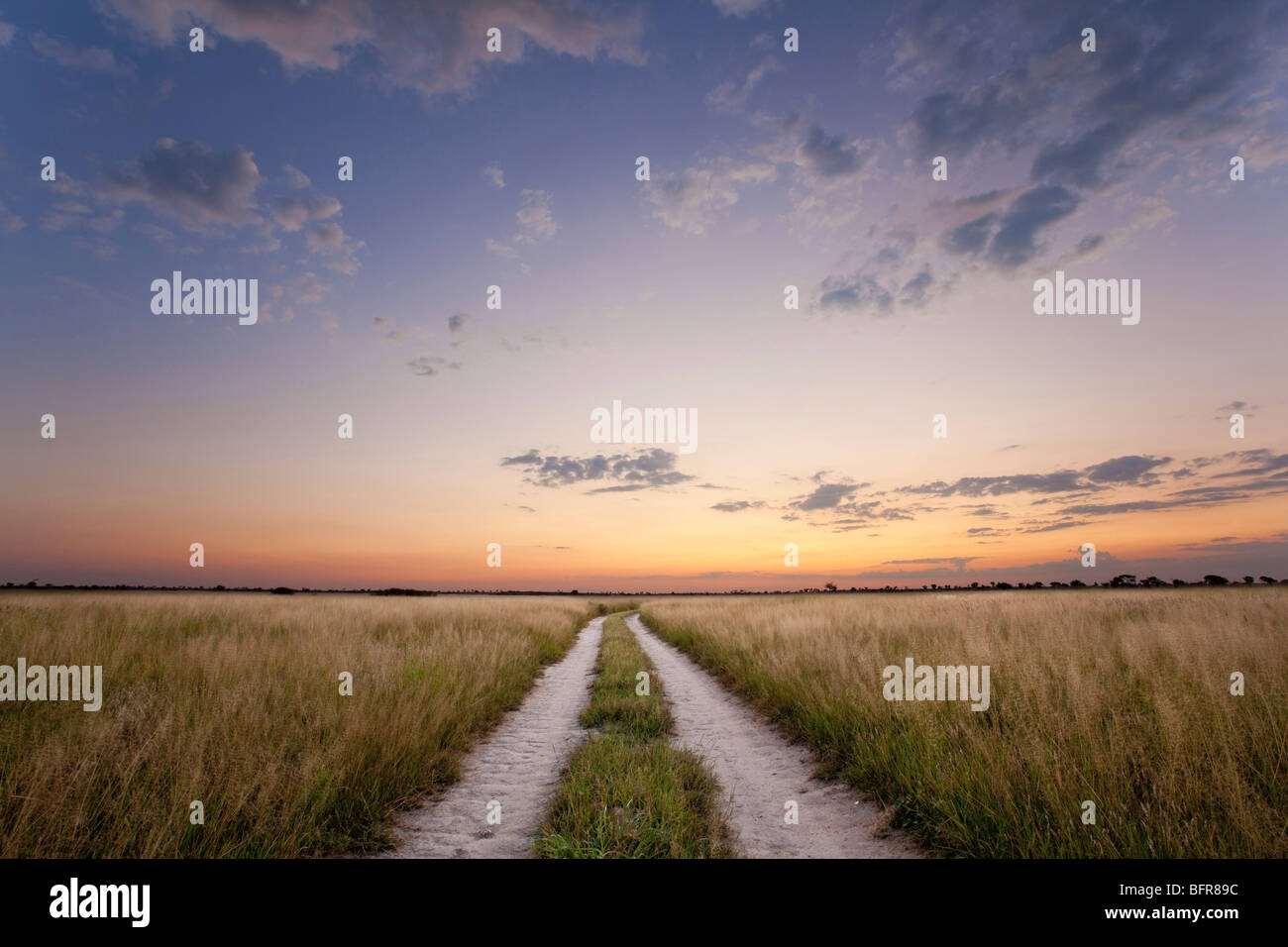 Africa moody landscape bushveld hi-res stock photography and images - Alamy