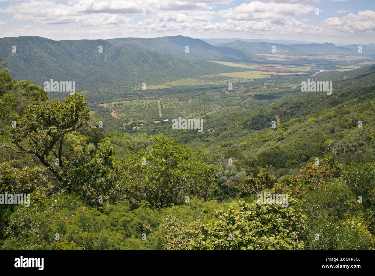 Valley of biodiversity hi-res stock photography and images - Alamy