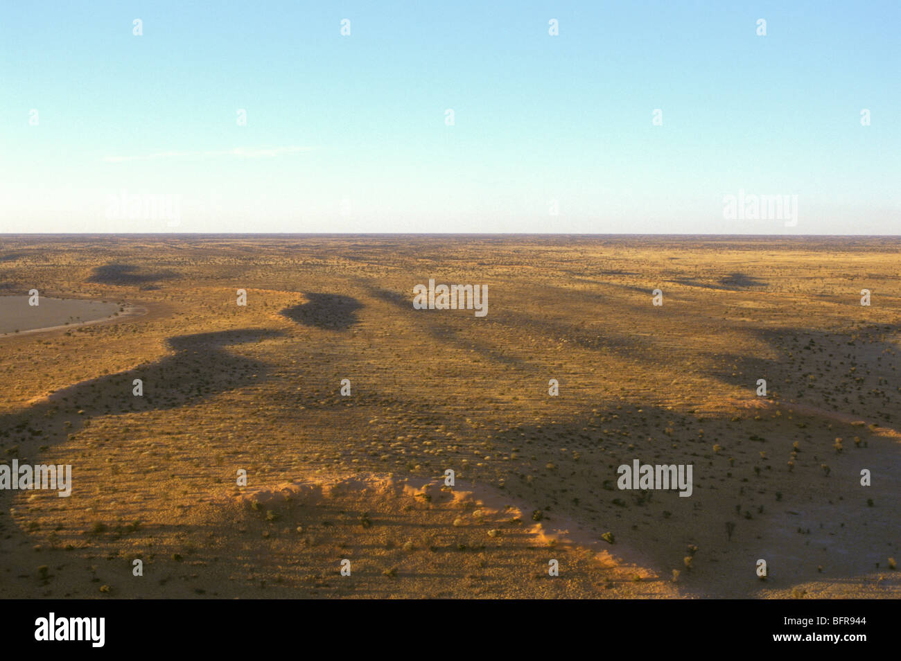 Aerial view of vegetated sand dunes in the Kgalagadi Transfrontier park ...