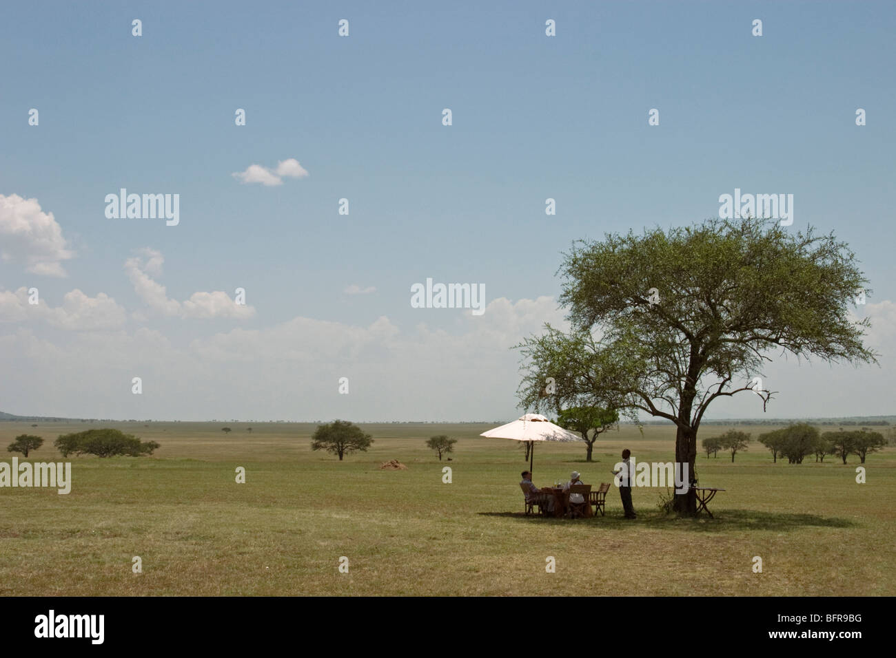 Tourists having lunch under a small tree looking out over plains Stock ...