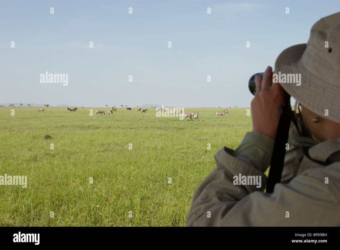 Viewing animals hi-res stock photography and images - Alamy