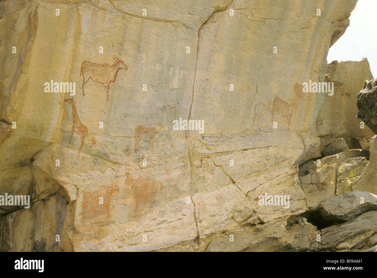 Rock art eland hi-res stock photography and images - Alamy