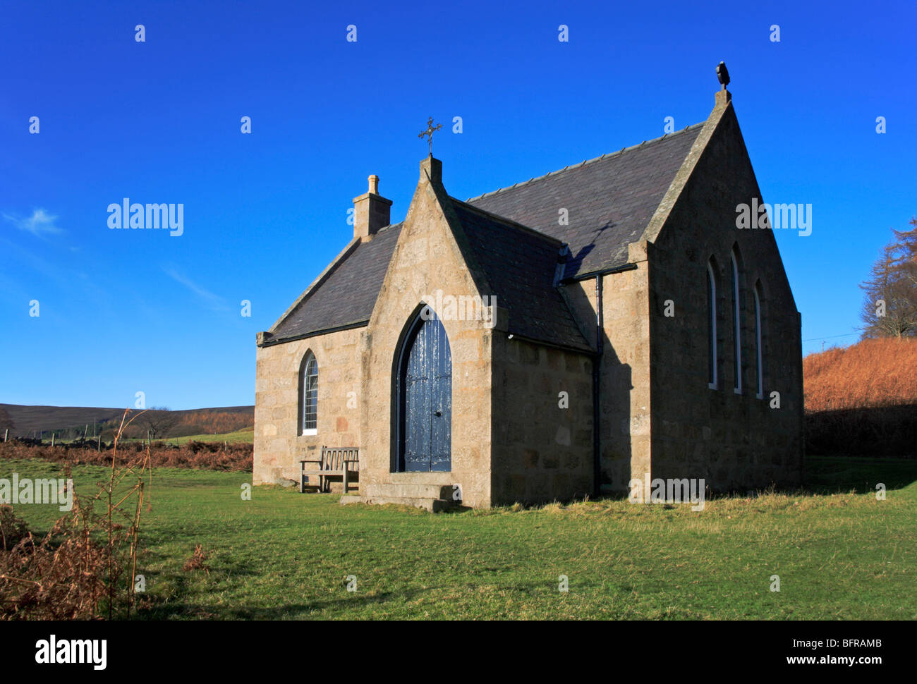 Forest of Birse Kirk, near Ballochan, Aberdeenshire, Scotland, United ...