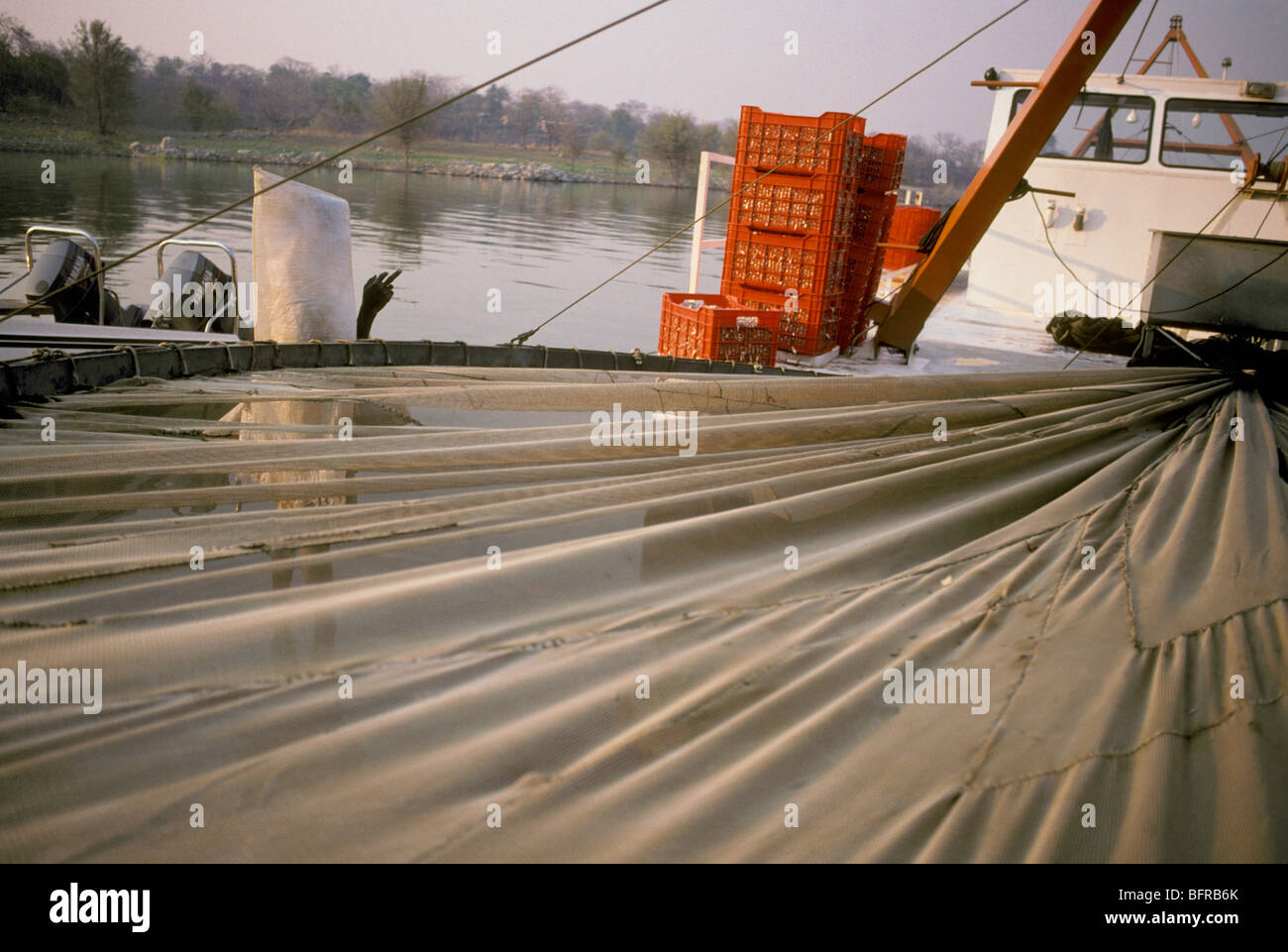 Kapenta hi-res stock photography and images - Alamy