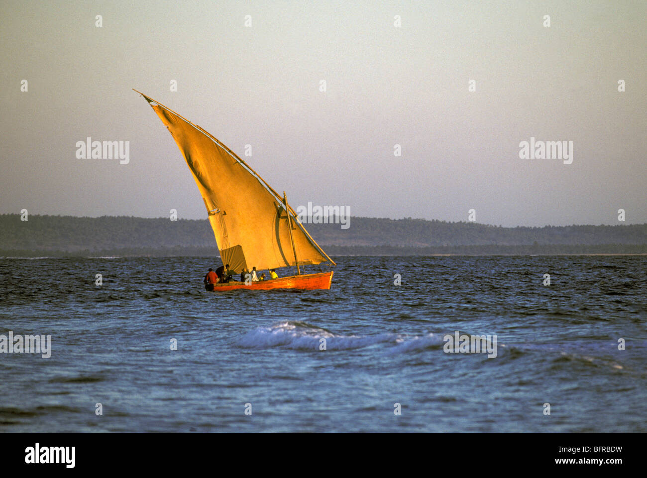 A traditional dhow sailing off the coast of Mozambique Stock Photo - Alamy