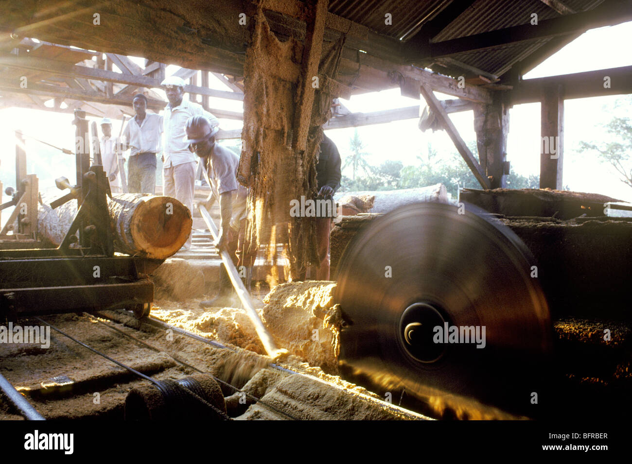 Sawmill africa hi-res stock photography and images - Alamy