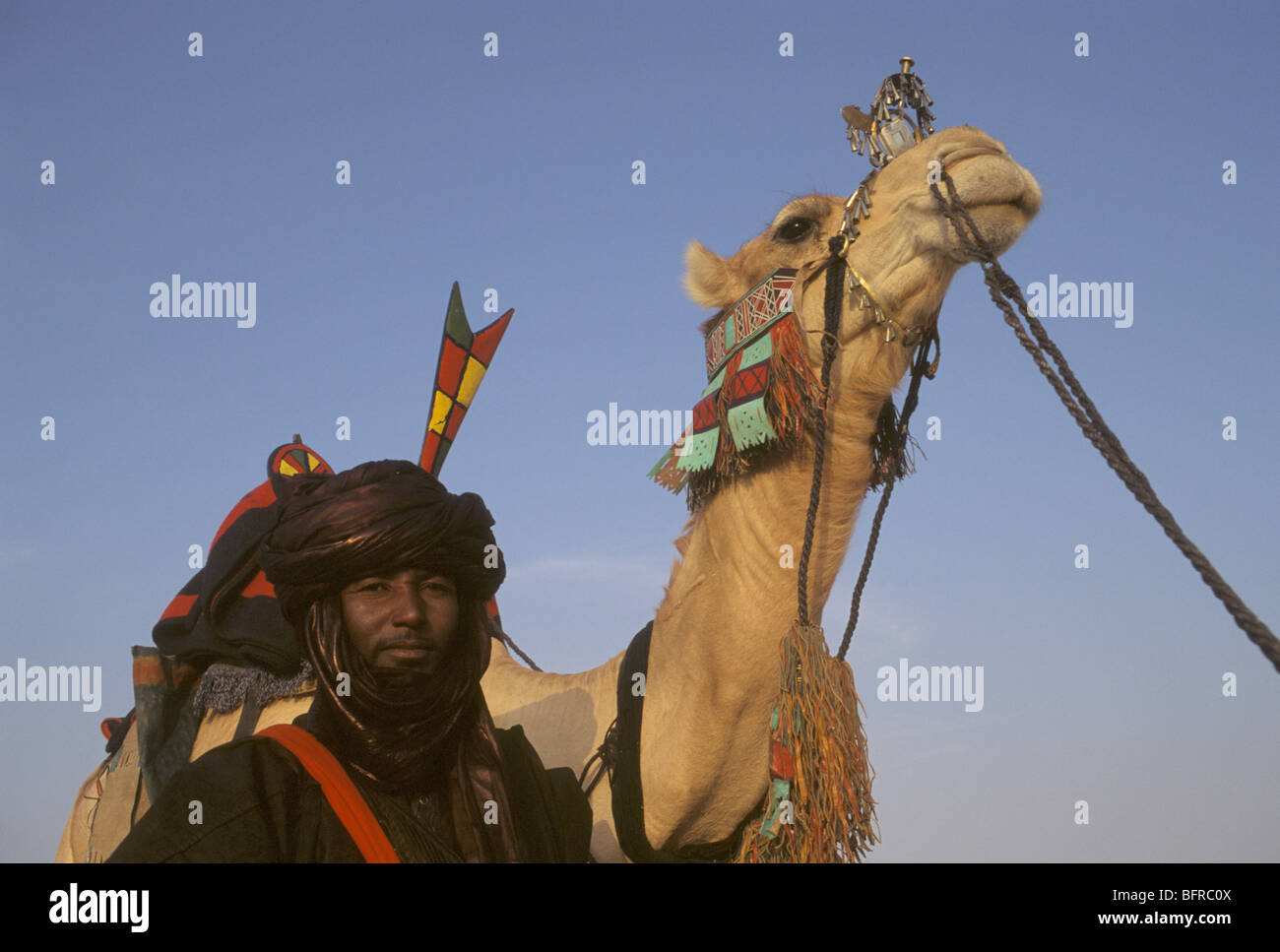 Tuareg man leading a camel in the Sahara Stock Photo - Alamy