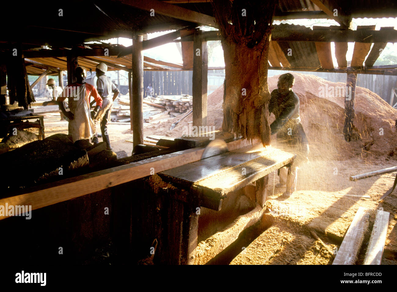 Men working at sawmill for indigenous hardwoods Stock Photo - Alamy