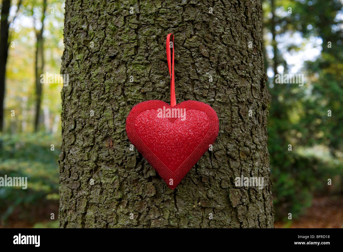 Nature i red hi-res stock photography and images - Alamy