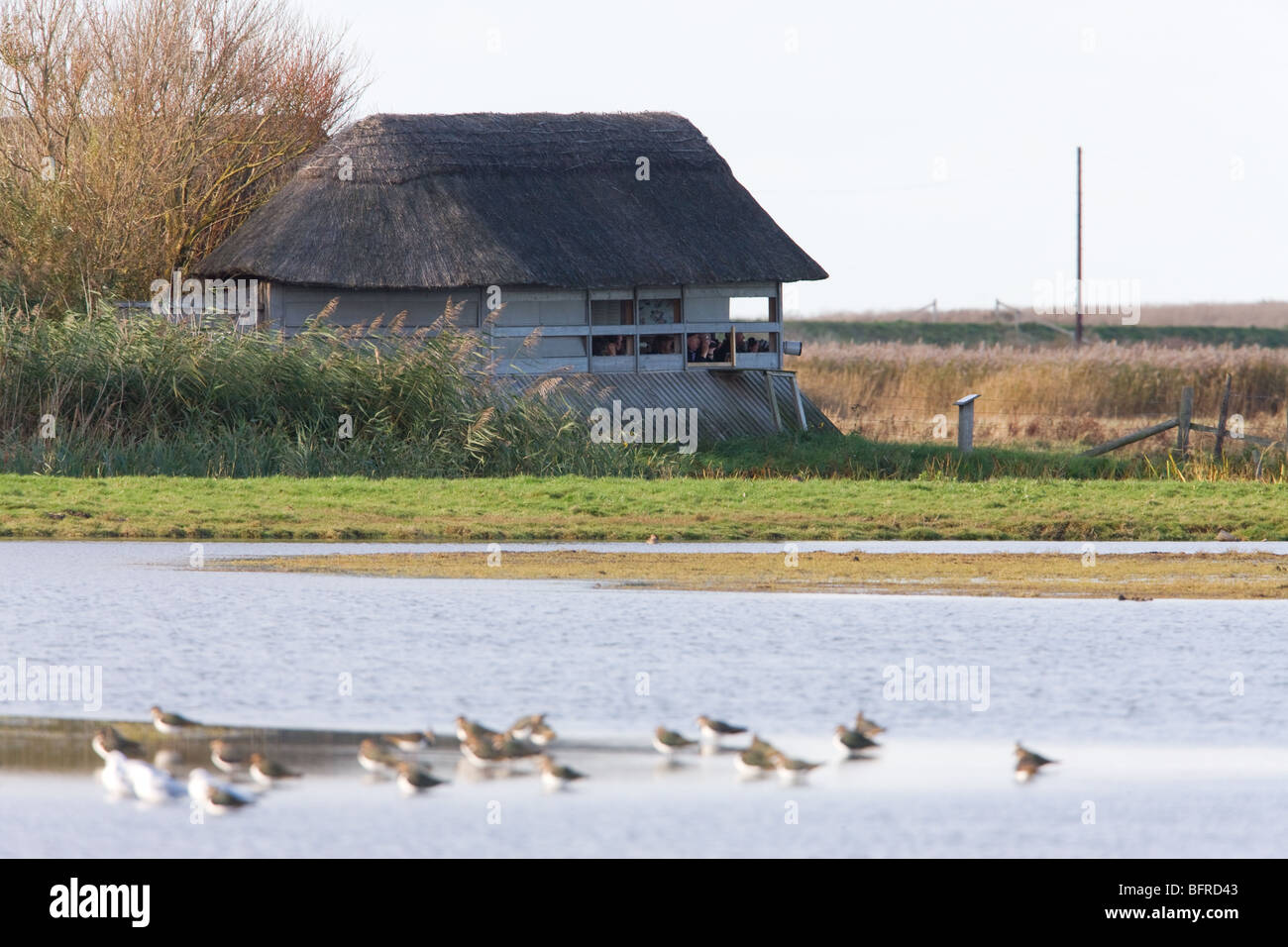 Cley Marsh over looking Pat's Pool towards central hides Stock Photo ...