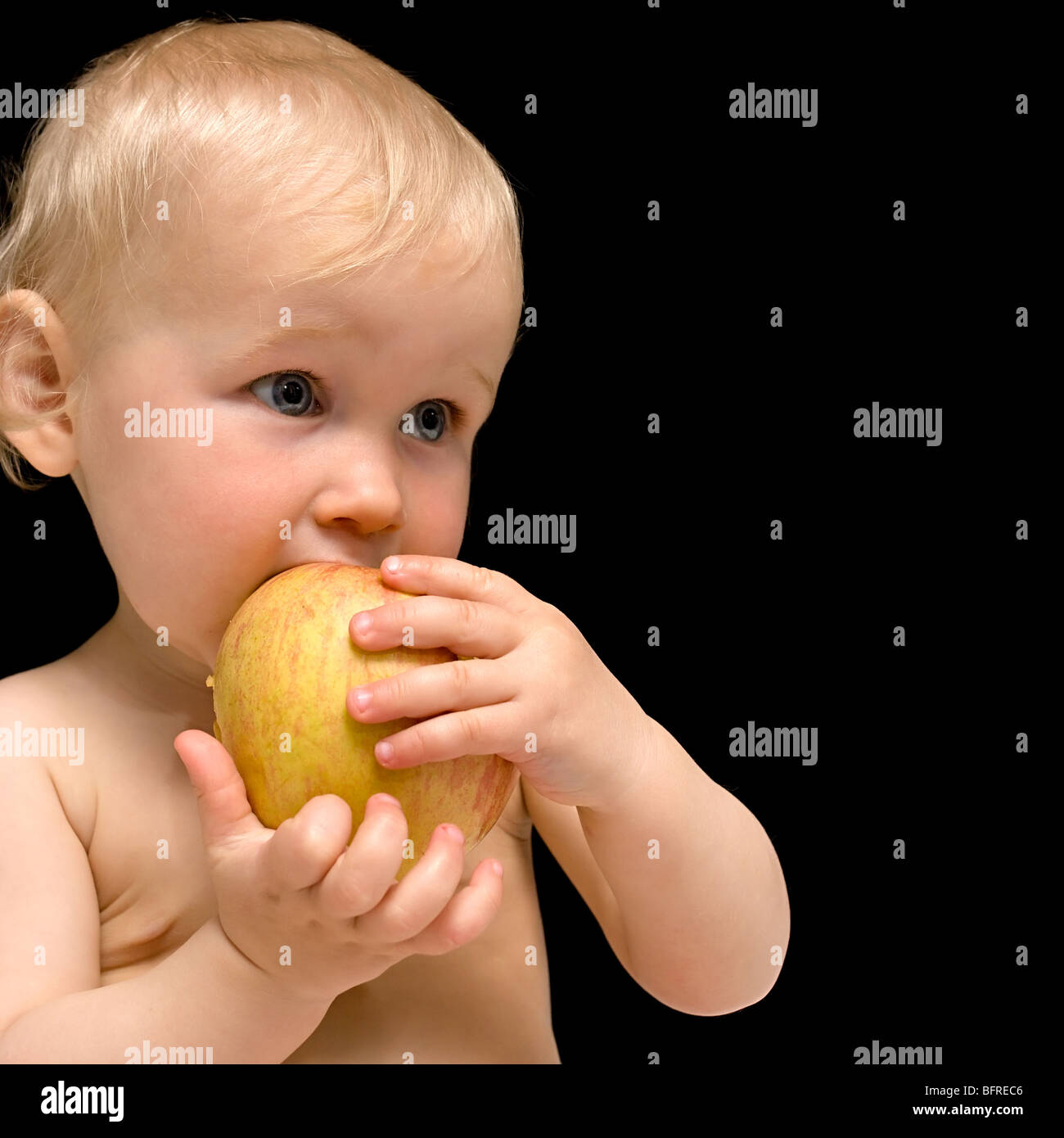 cute baby eats yellow apple. close-up portrait on black background ...