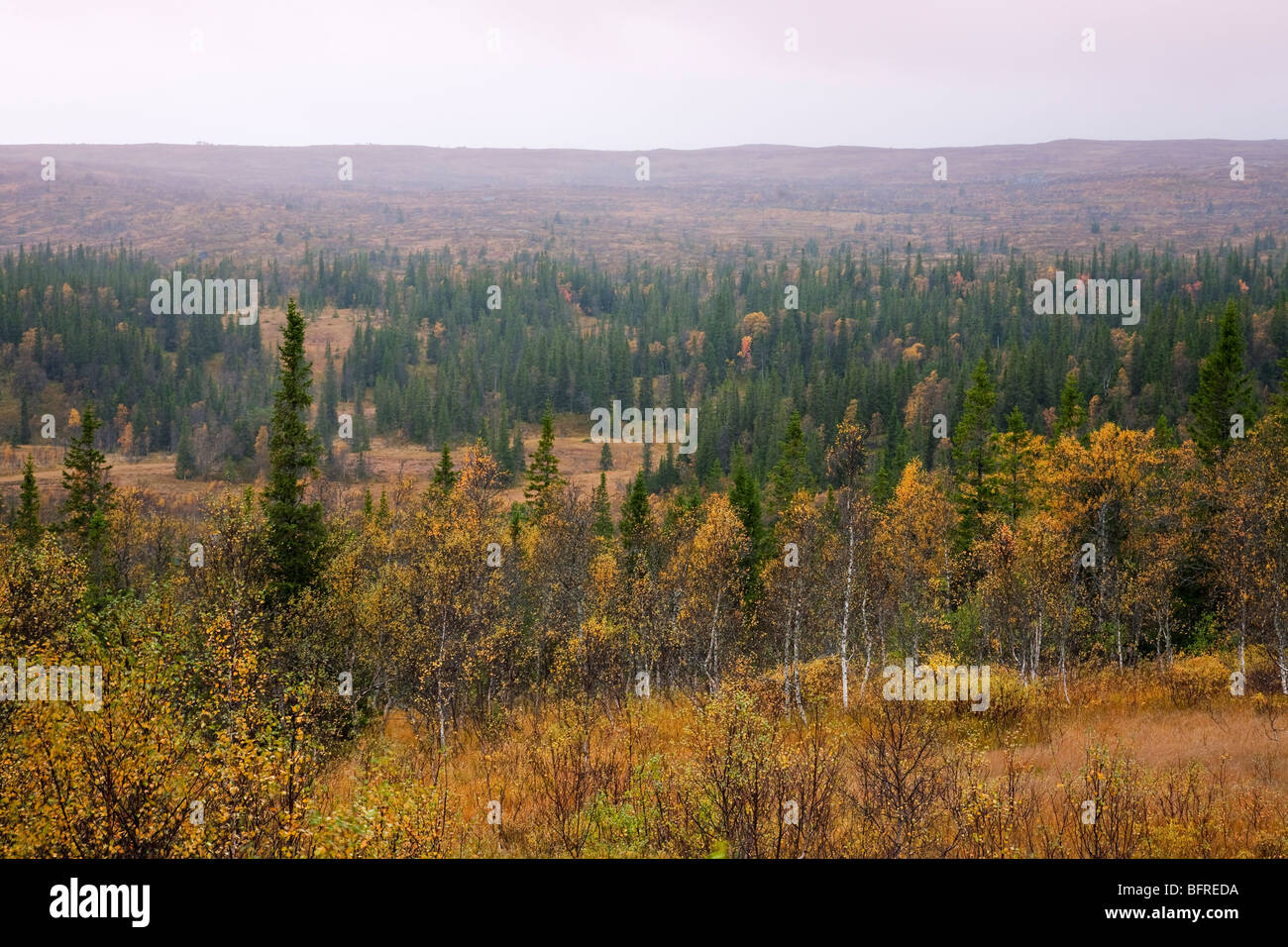 Storlien sweden hi-res stock photography and images - Alamy