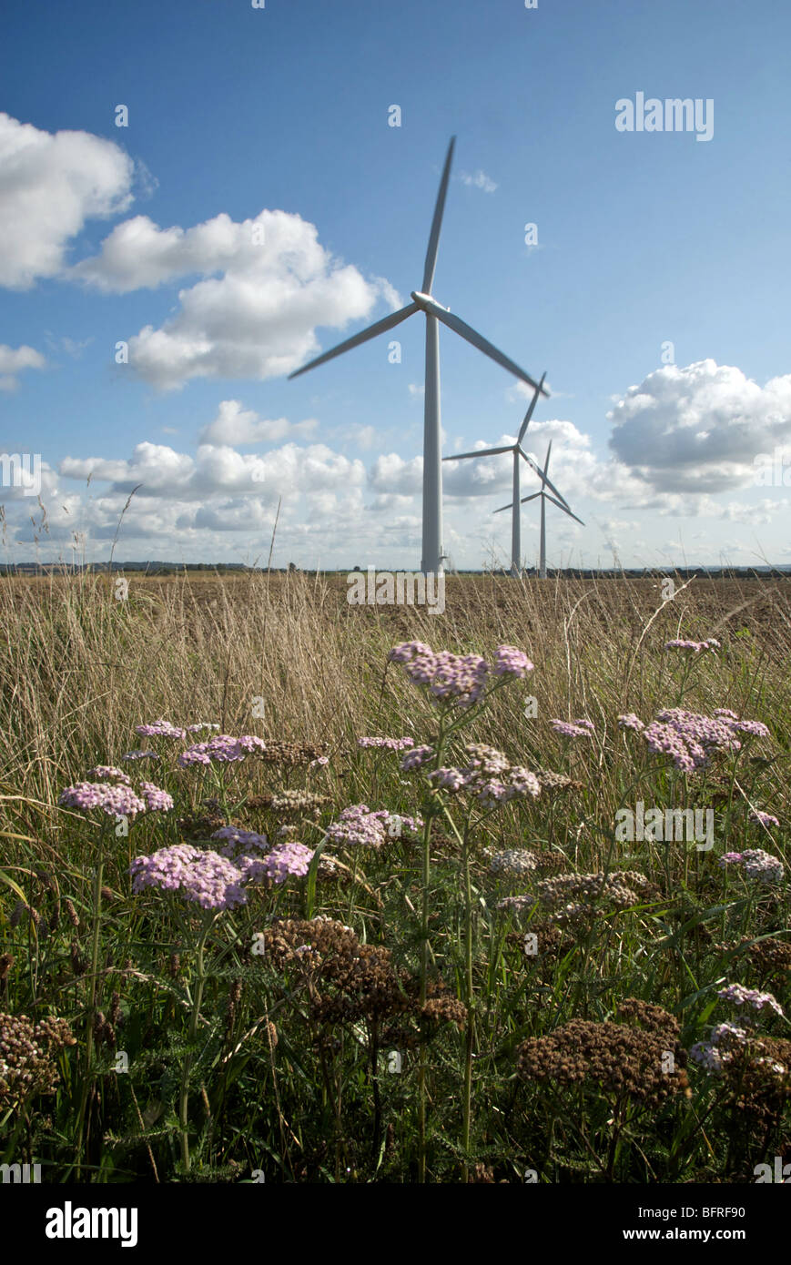 West Mill Wind Turbines Watchfield Shrivenham Wiltshire UK Stock Photo ...
