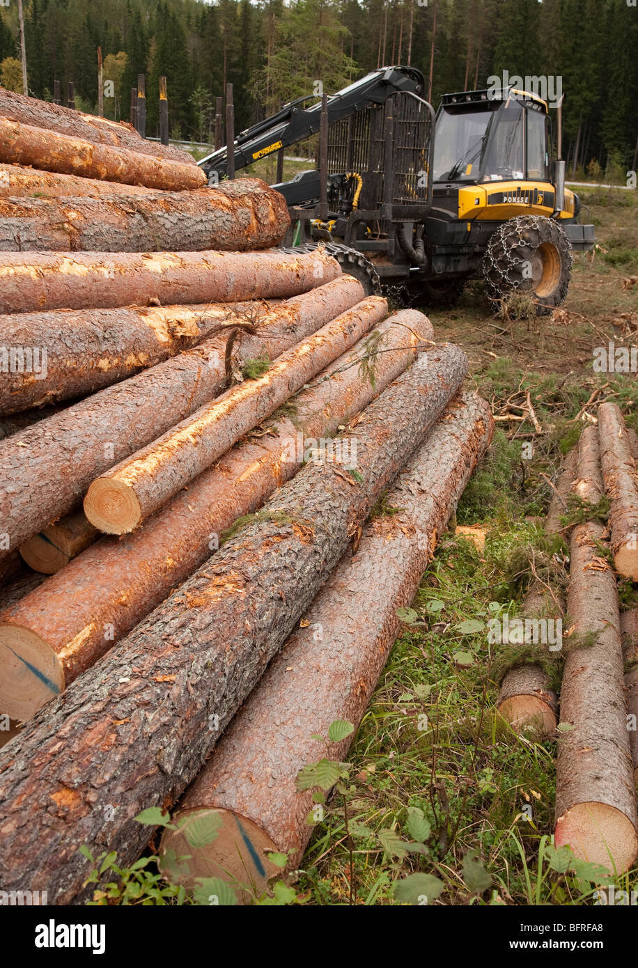 Pile of pine ( pinus sylvestris ) logs and Finnish Ponsse Elk forest ...