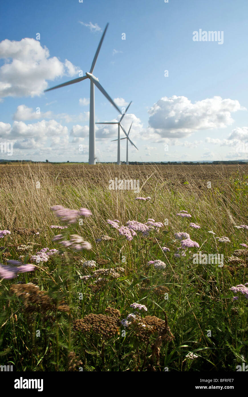 West Mill Wind Turbines Watchfield Shrivenham Wiltshire UK Stock Photo ...