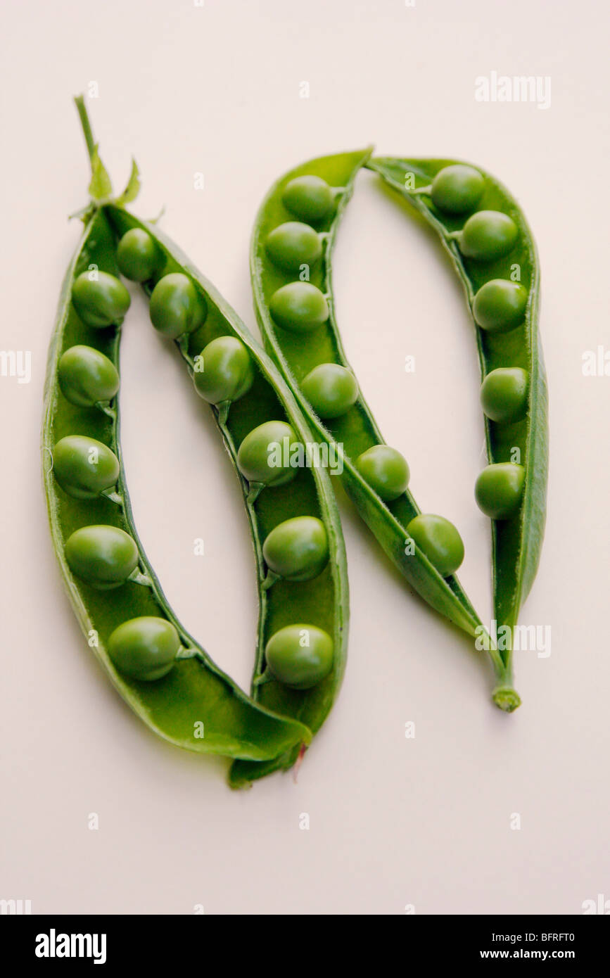 Heritage pea with 11 peas per pod white background Stock Photo - Alamy