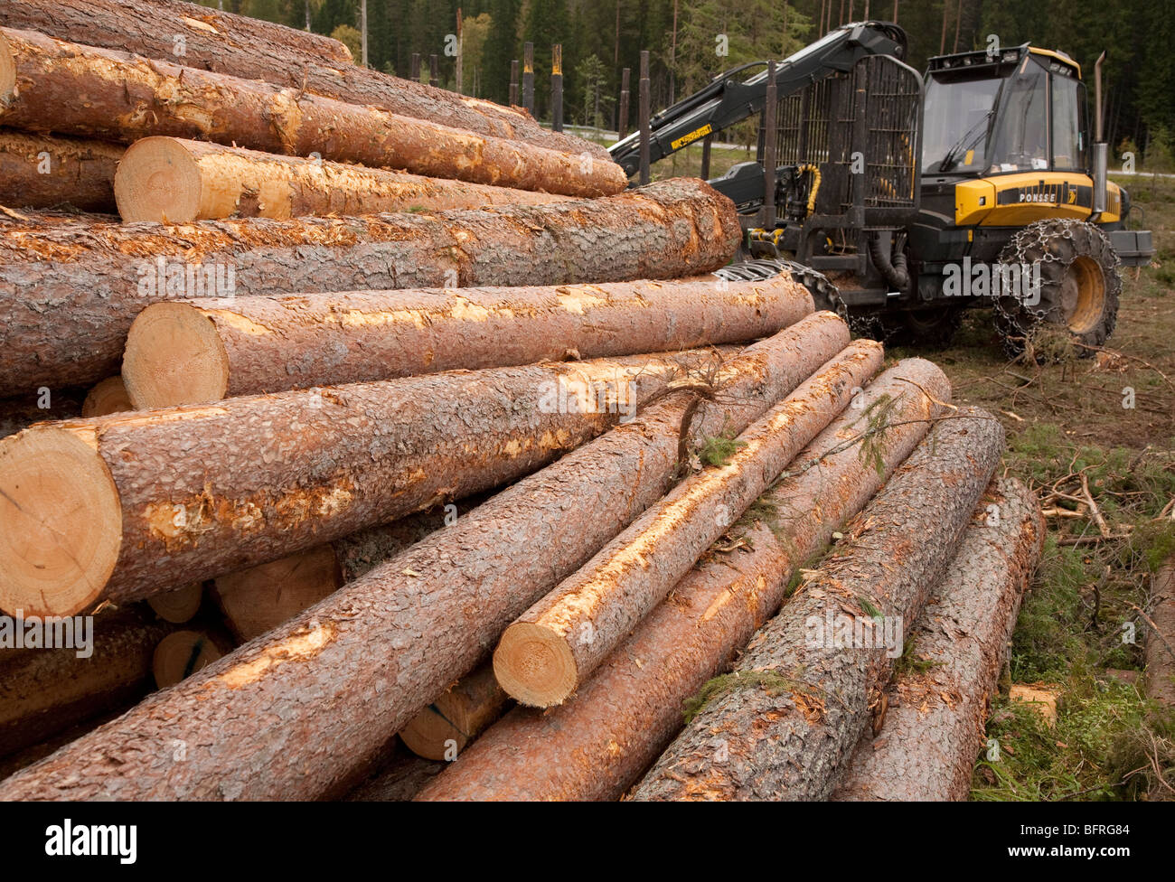 Pile of pine ( pinus sylvestris ) logs and Finnish Ponsse Elk forest ...